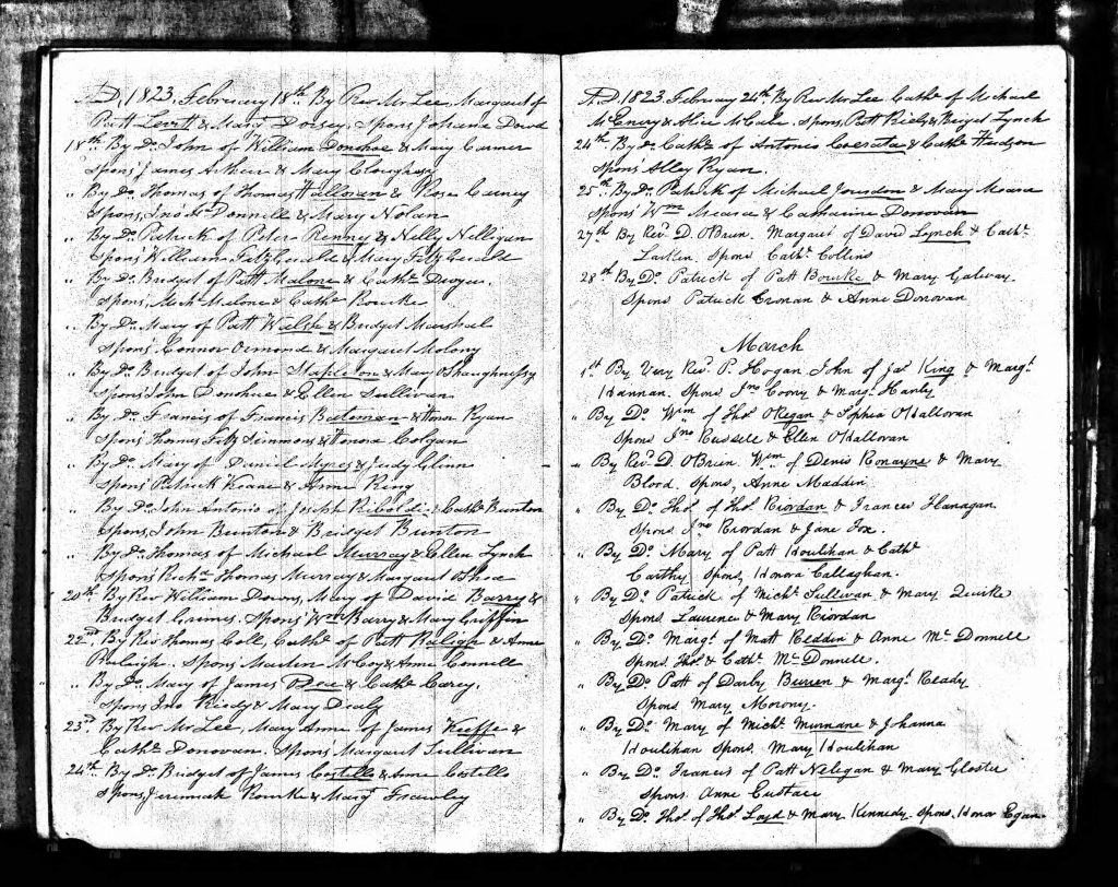 The Murray Family of Limerick, Ireland and New South Wales and Victoria ...